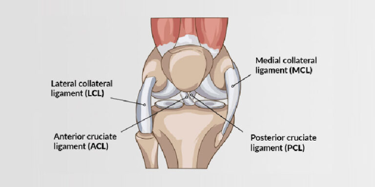 Knee Ligament Injuries - Progressive Physiotherapy